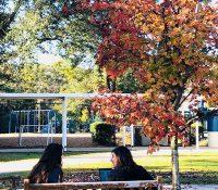 HOME - MACLAY SCHOOL